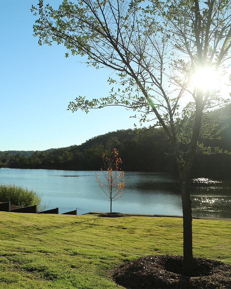 Weddings & Events – Stix Farm by PEARL